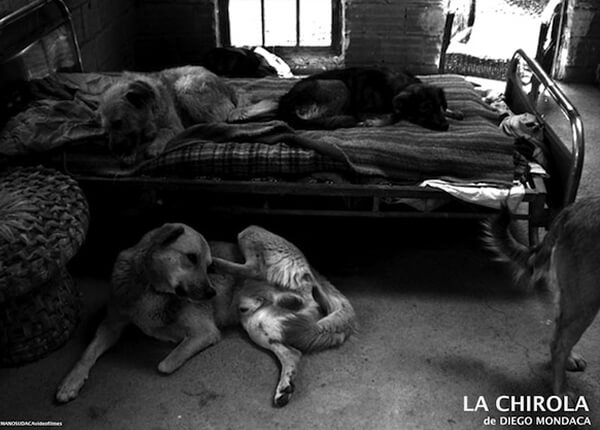 La chirola - Retina Latina