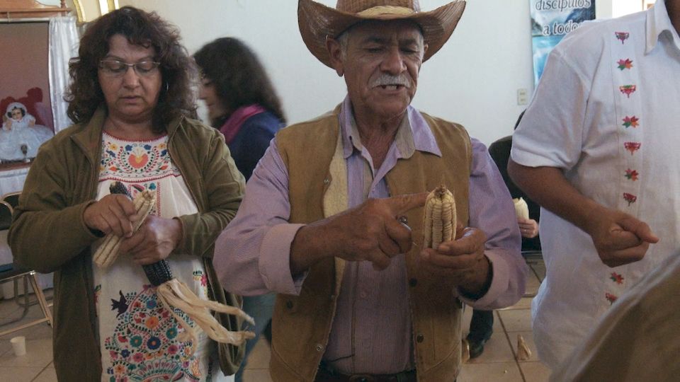 Semillas, el legado de la tierra – Retina Latina Semillas, el legado de la tierra – Retina Latina